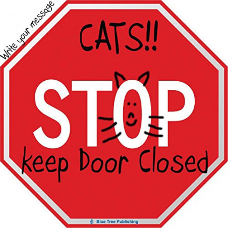 Thyroid Gland Anatomy Netter